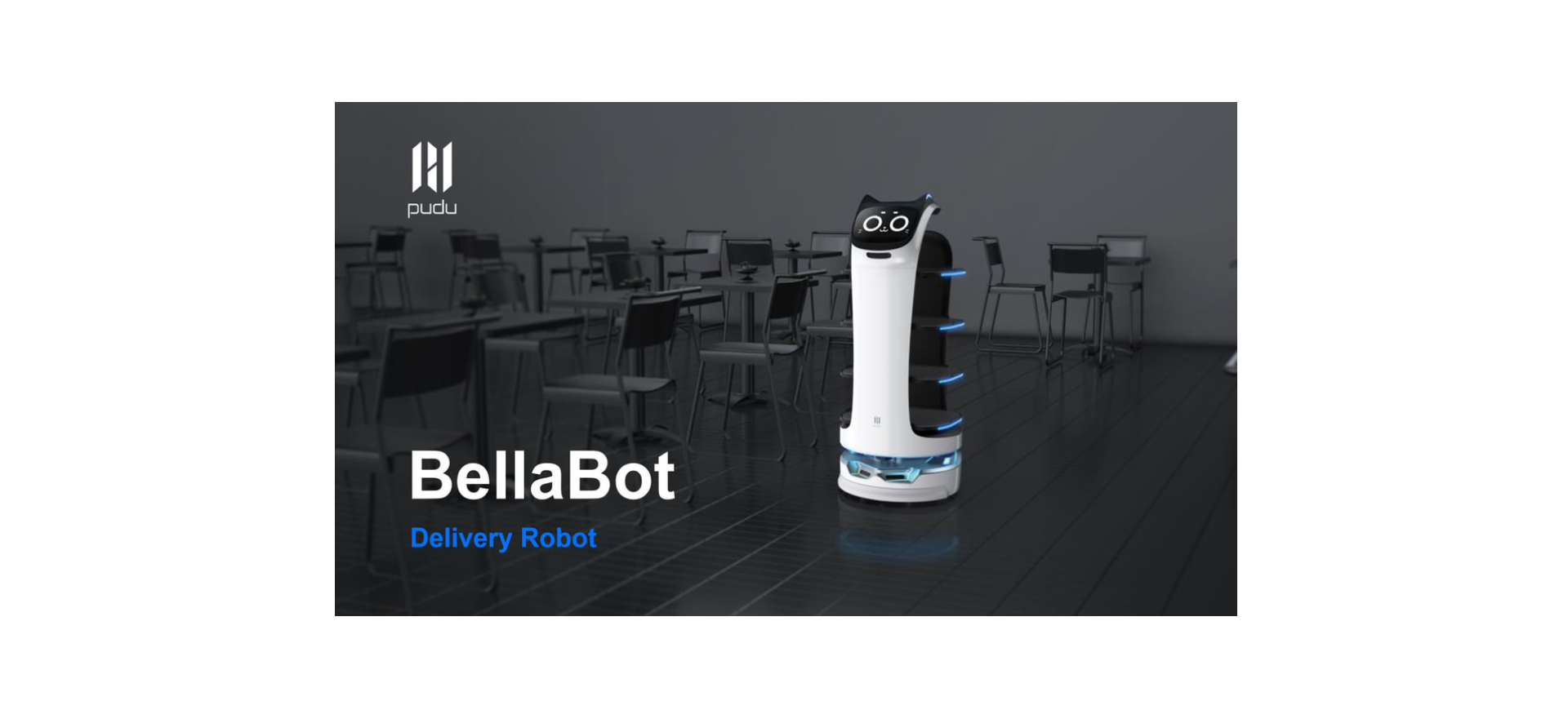 PUDU ROBOTICS – Intelligeneer Solution