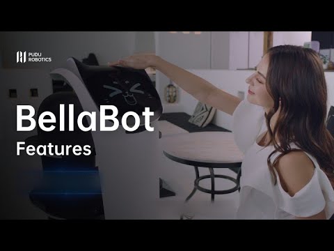 BellaBot – Intelligeneer Solution
